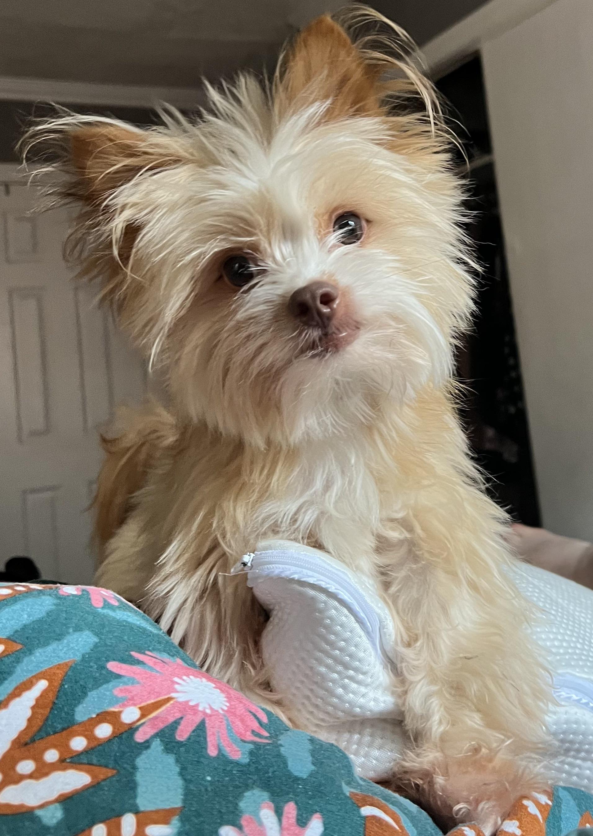 Discover more like Aww: Before the party, After the party(OC) and Related Content | Scrolller