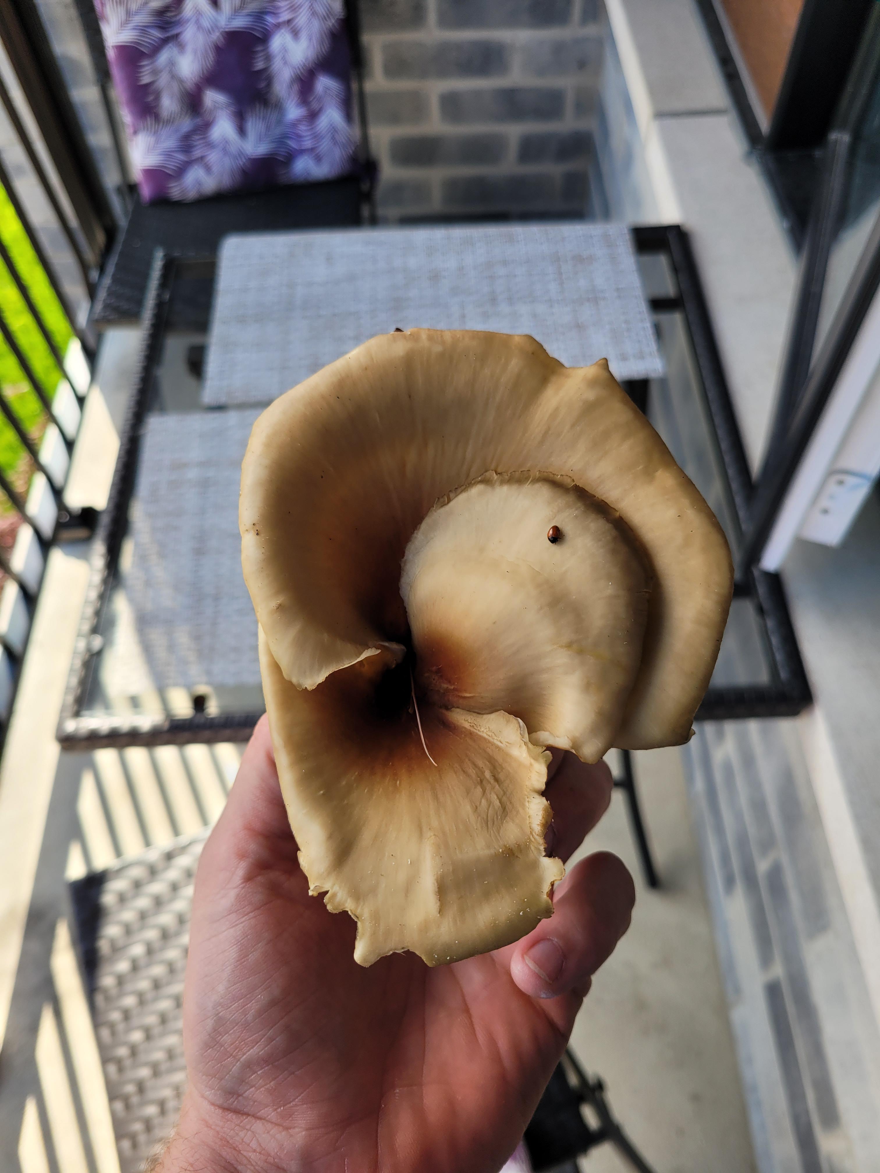 Couple finds | Scrolller