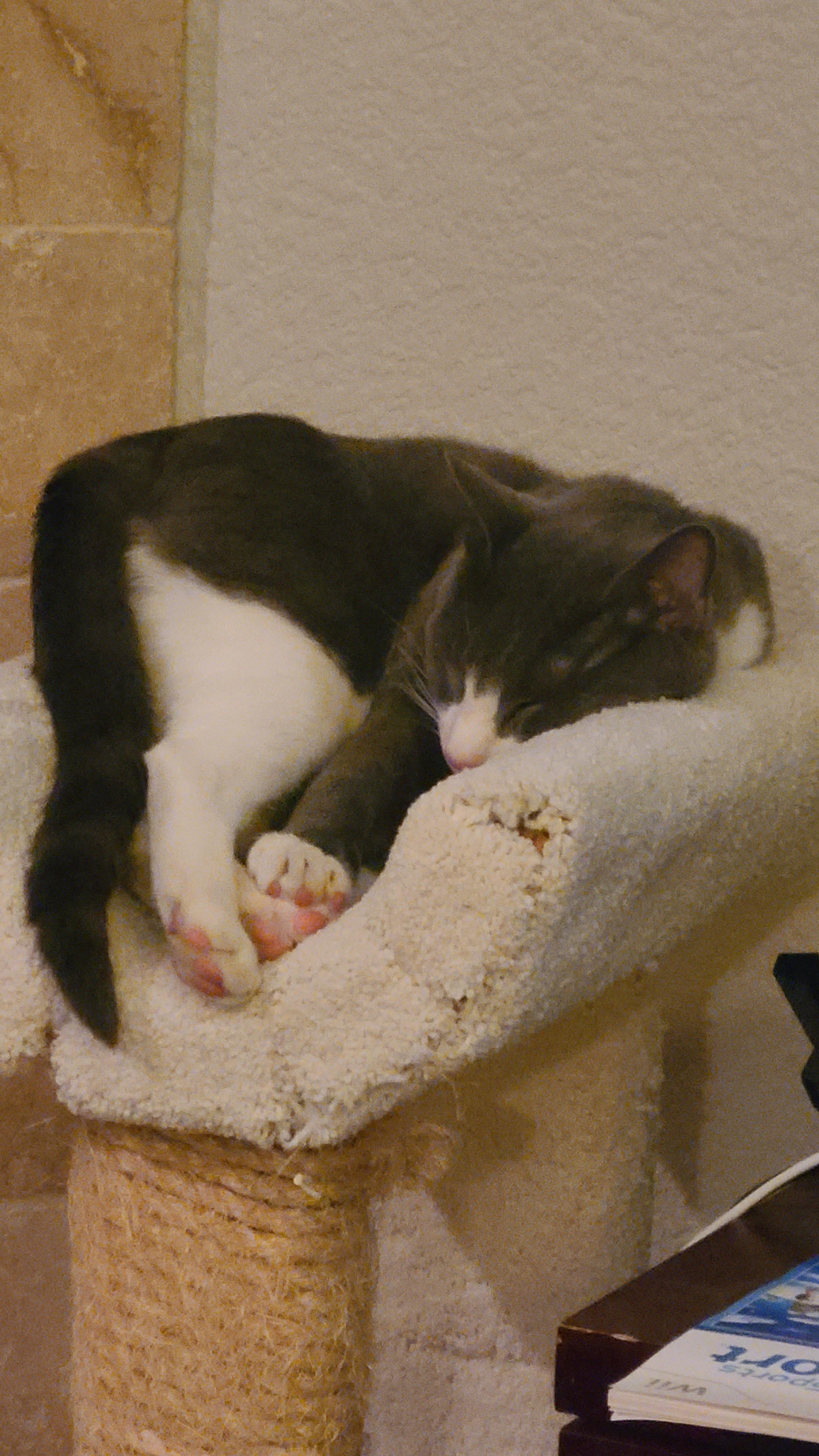 Sometimes they aren't ready and require adjustments. He's learning. | Scrolller