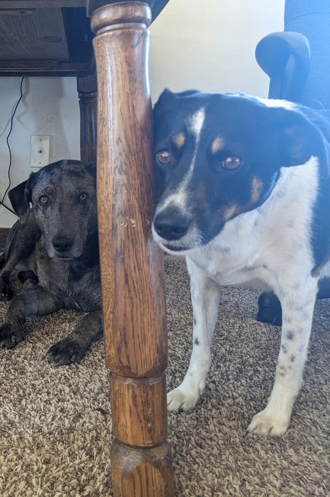 Steve has resting existential crisis face | Scrolller