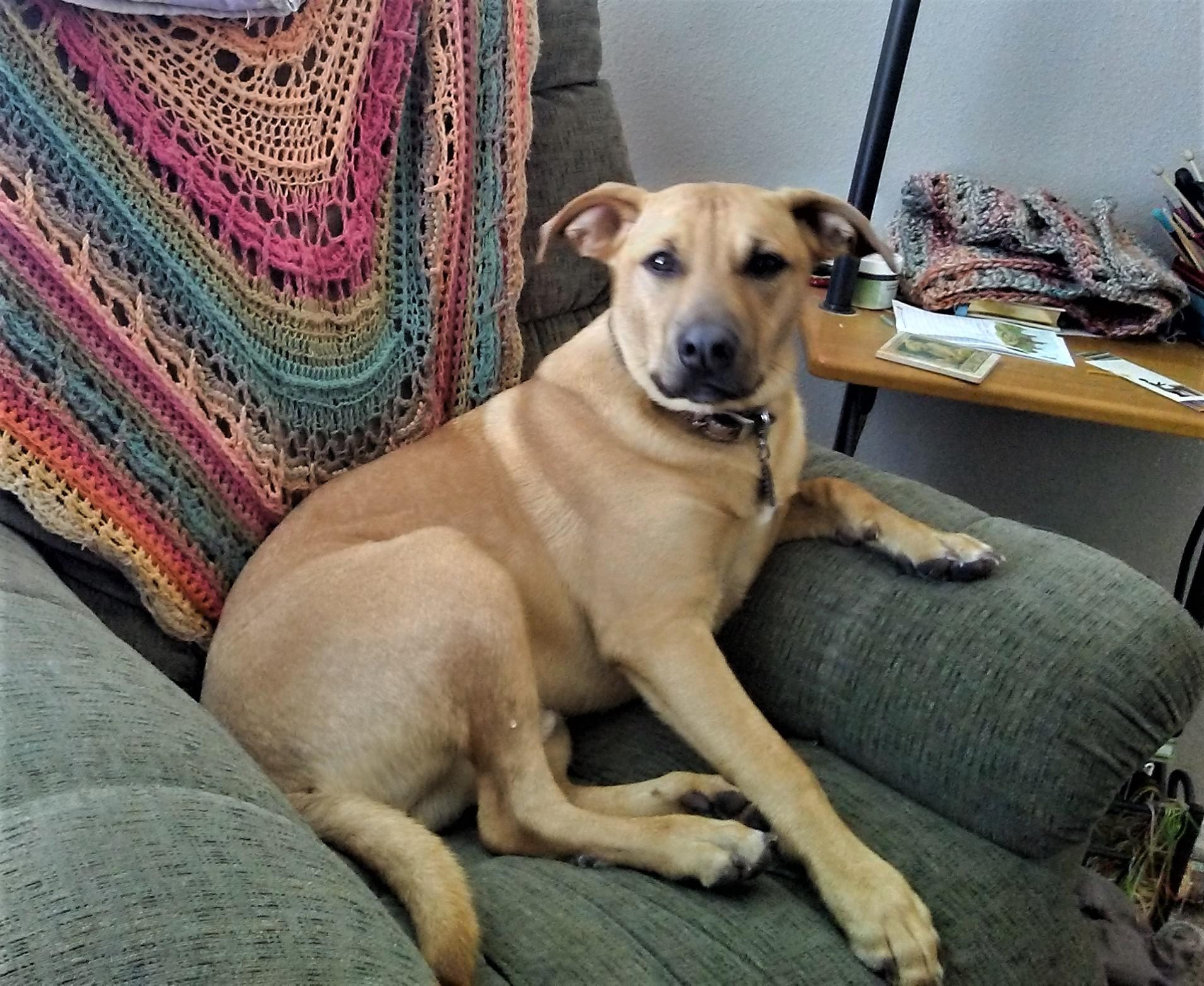 Meet Charlie, the FNG | Scrolller