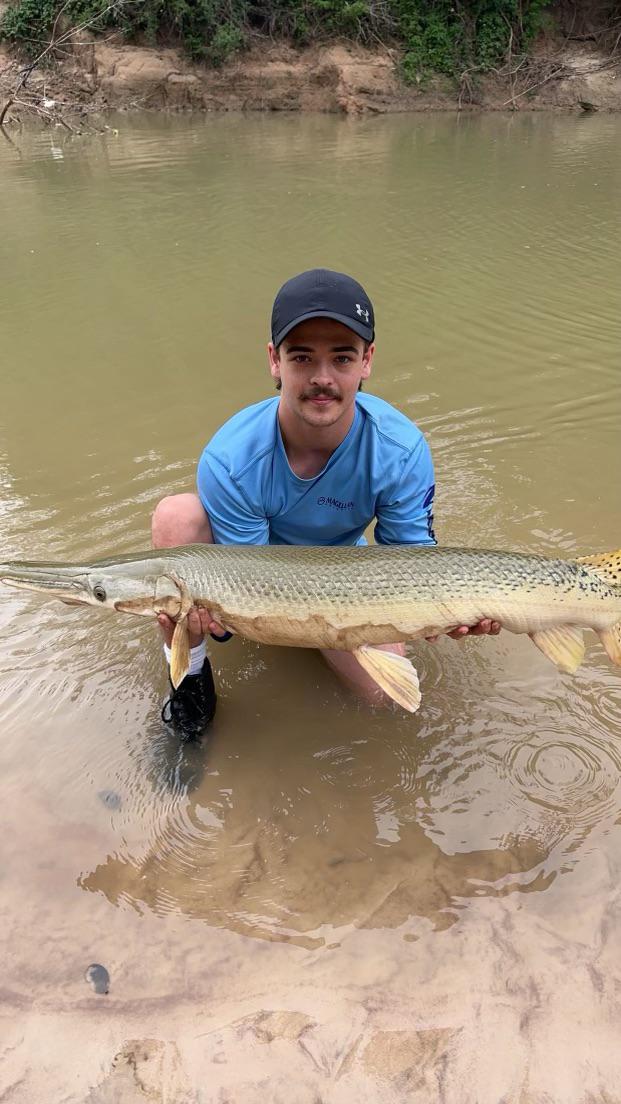 Alligator gar I caught in Buffalo Bayou | Scrolller
