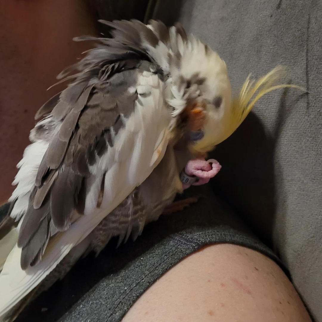 Look at his little fist! | Scrolller