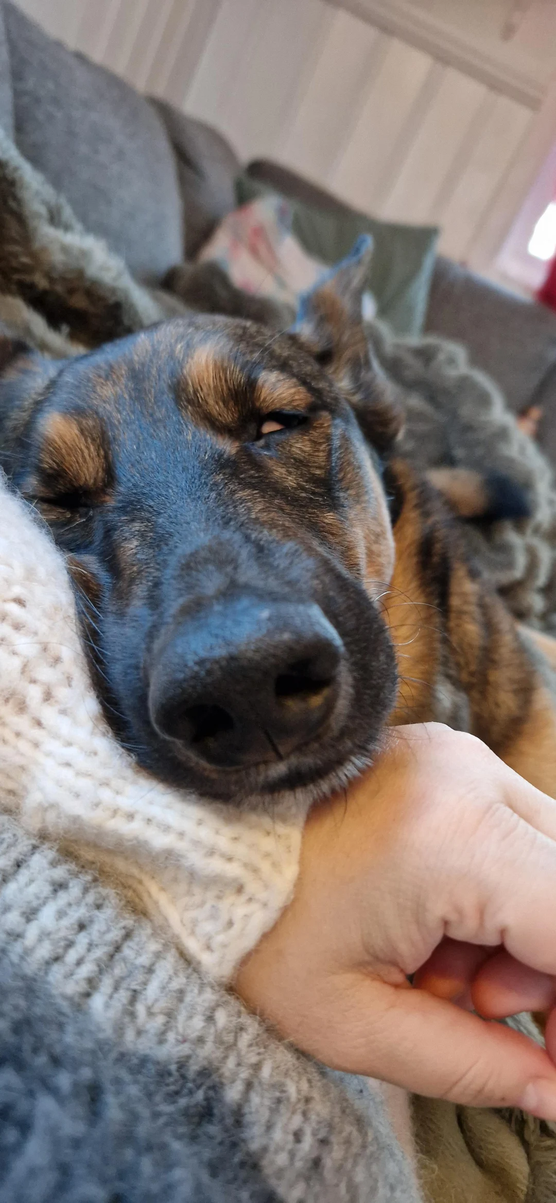 complete relaxation for Delta | Scrolller