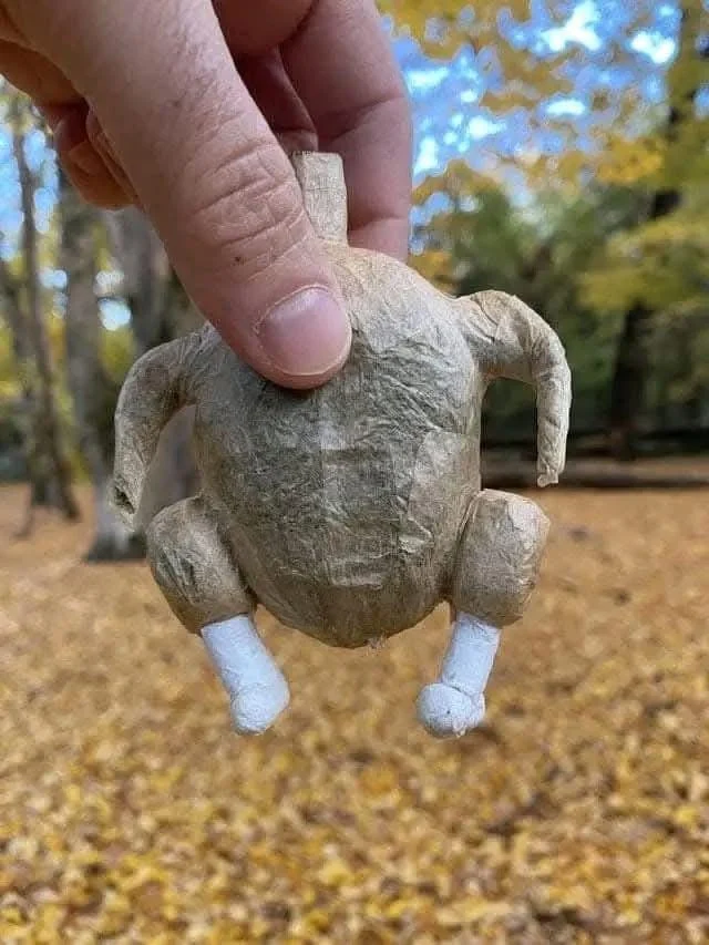 Toasty turkey | Scrolller