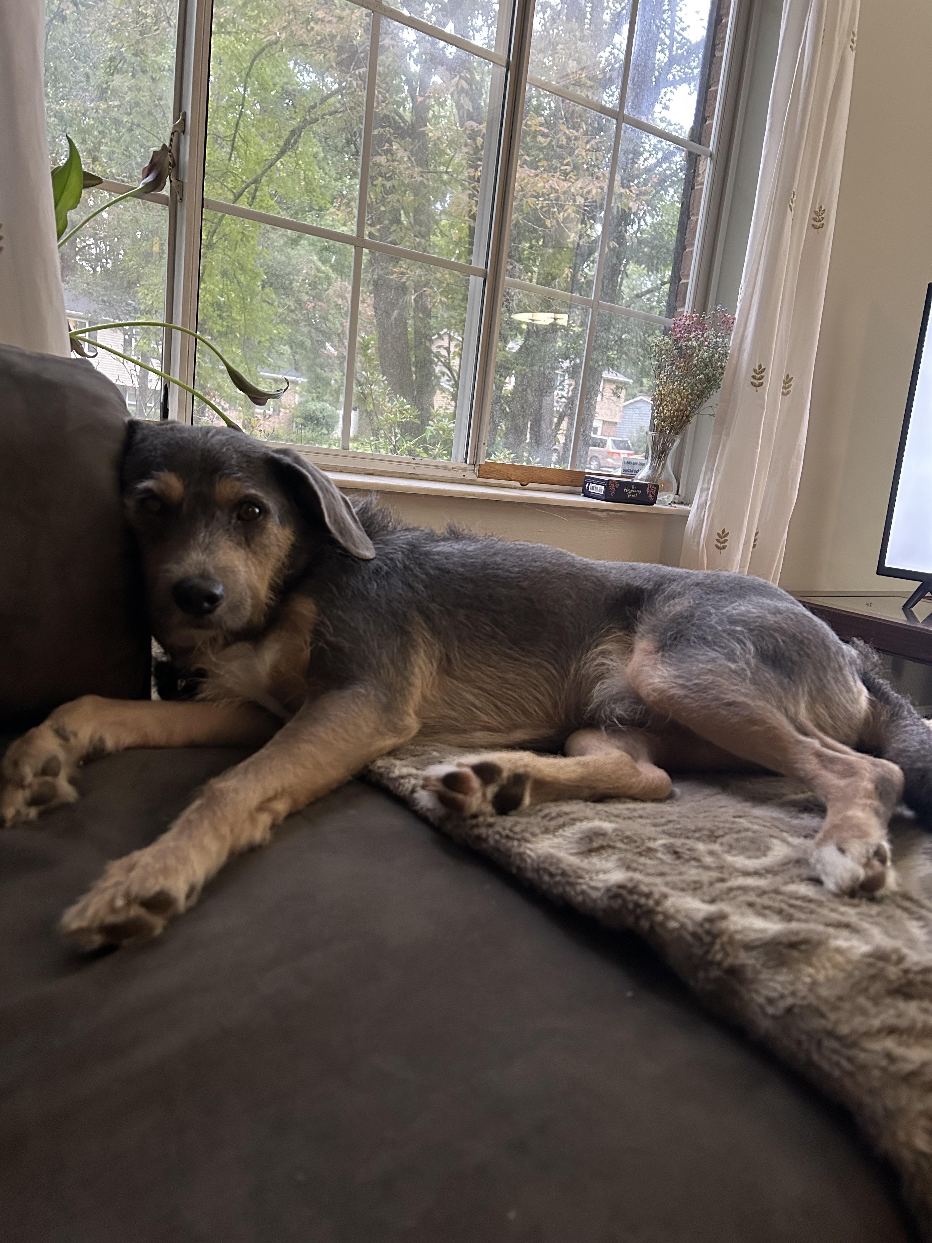 What’s he thinkin’ about? | Scrolller