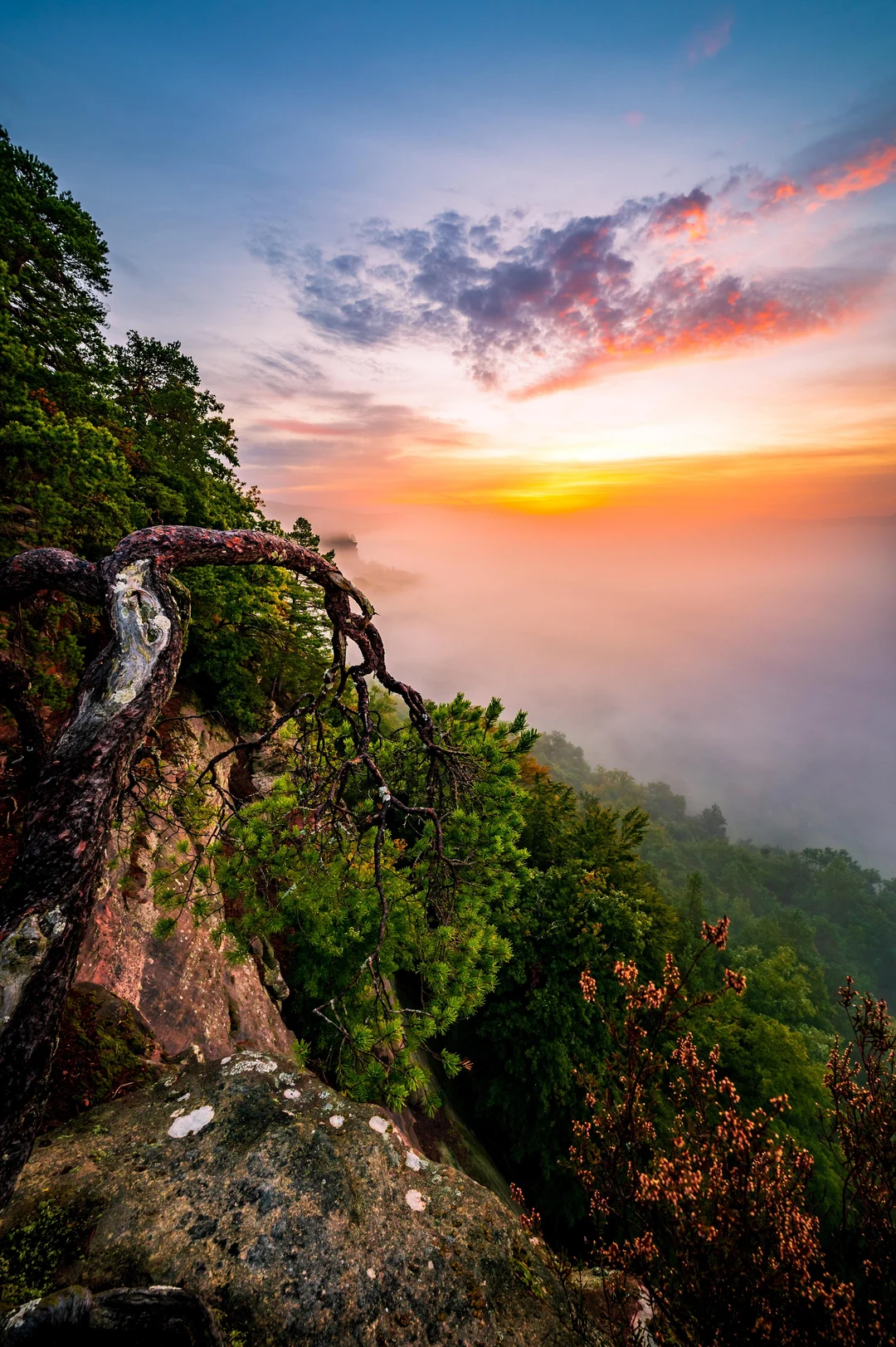 Perfect Conditions [OC], Obersteinbach, Alsace [2662x4000] | Scrolller