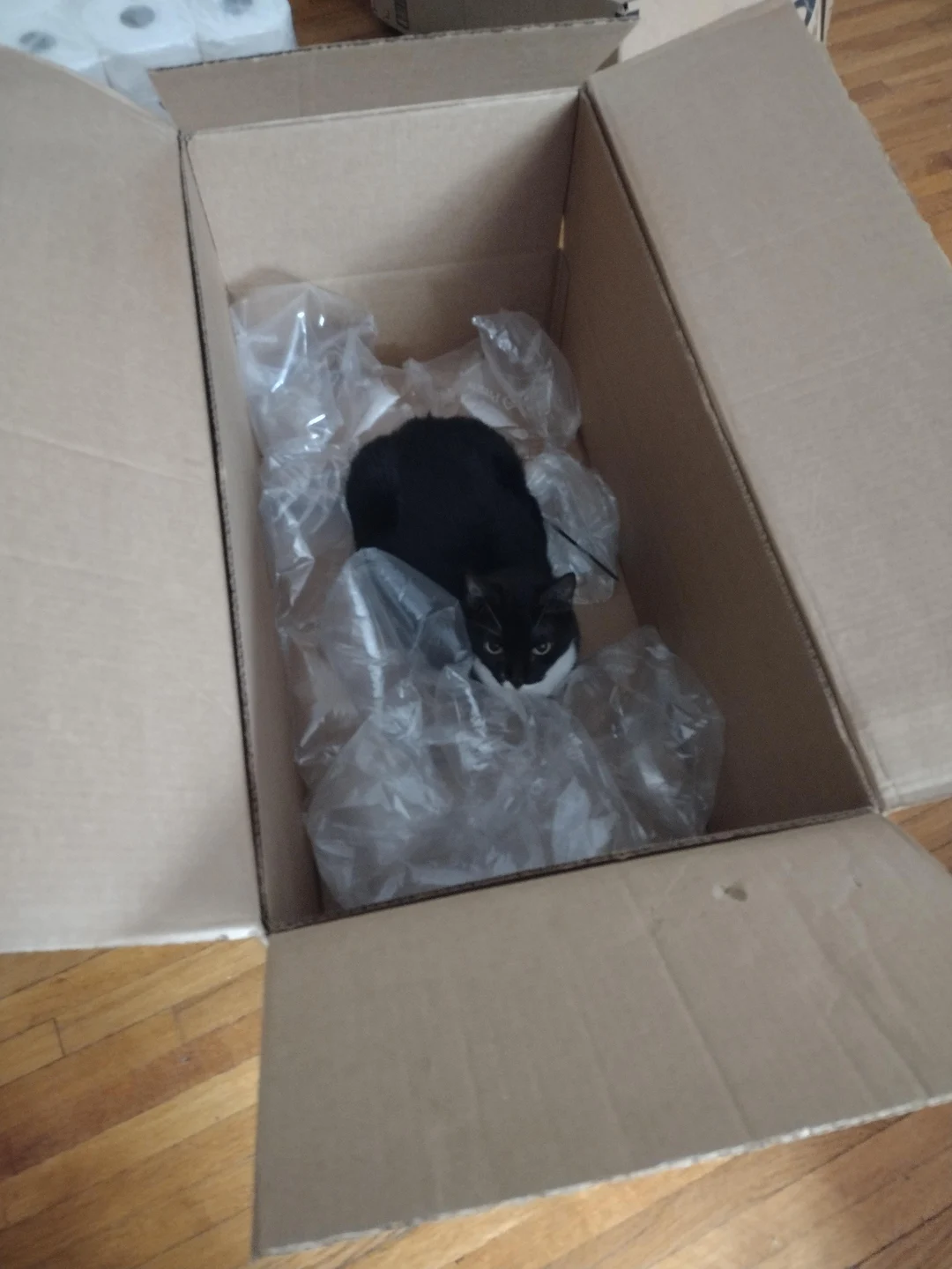 An extra large trap claims a victim | Scrolller