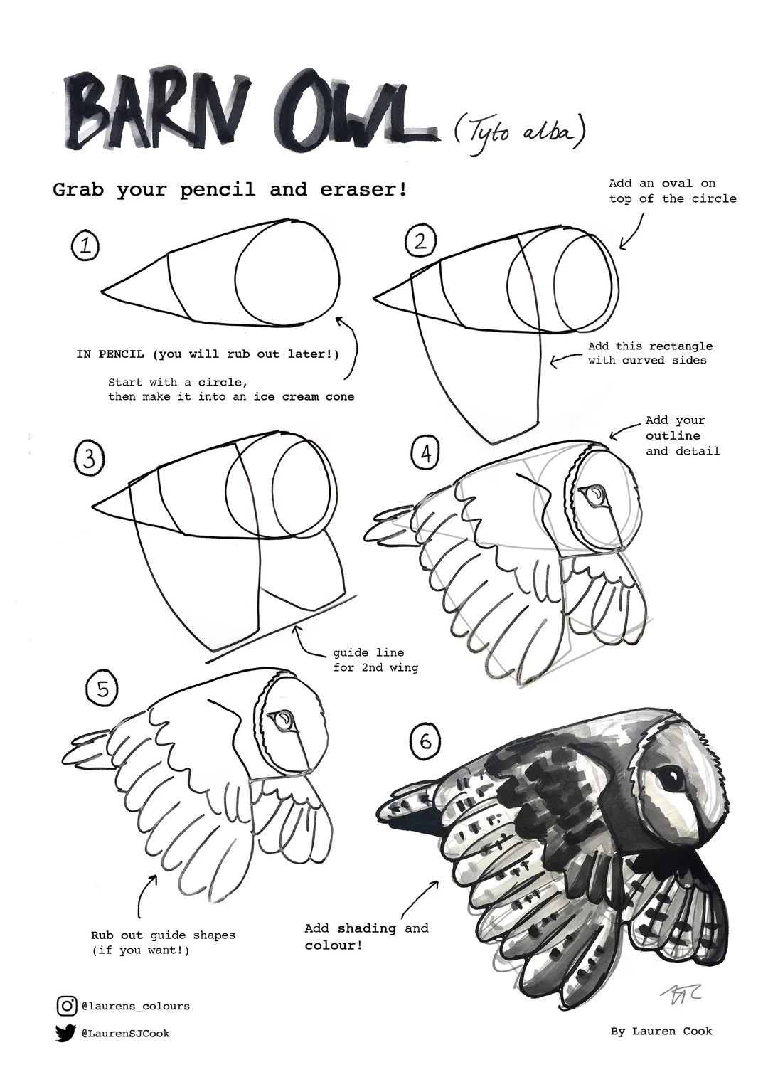 Barn owl tutorial! | Scrolller