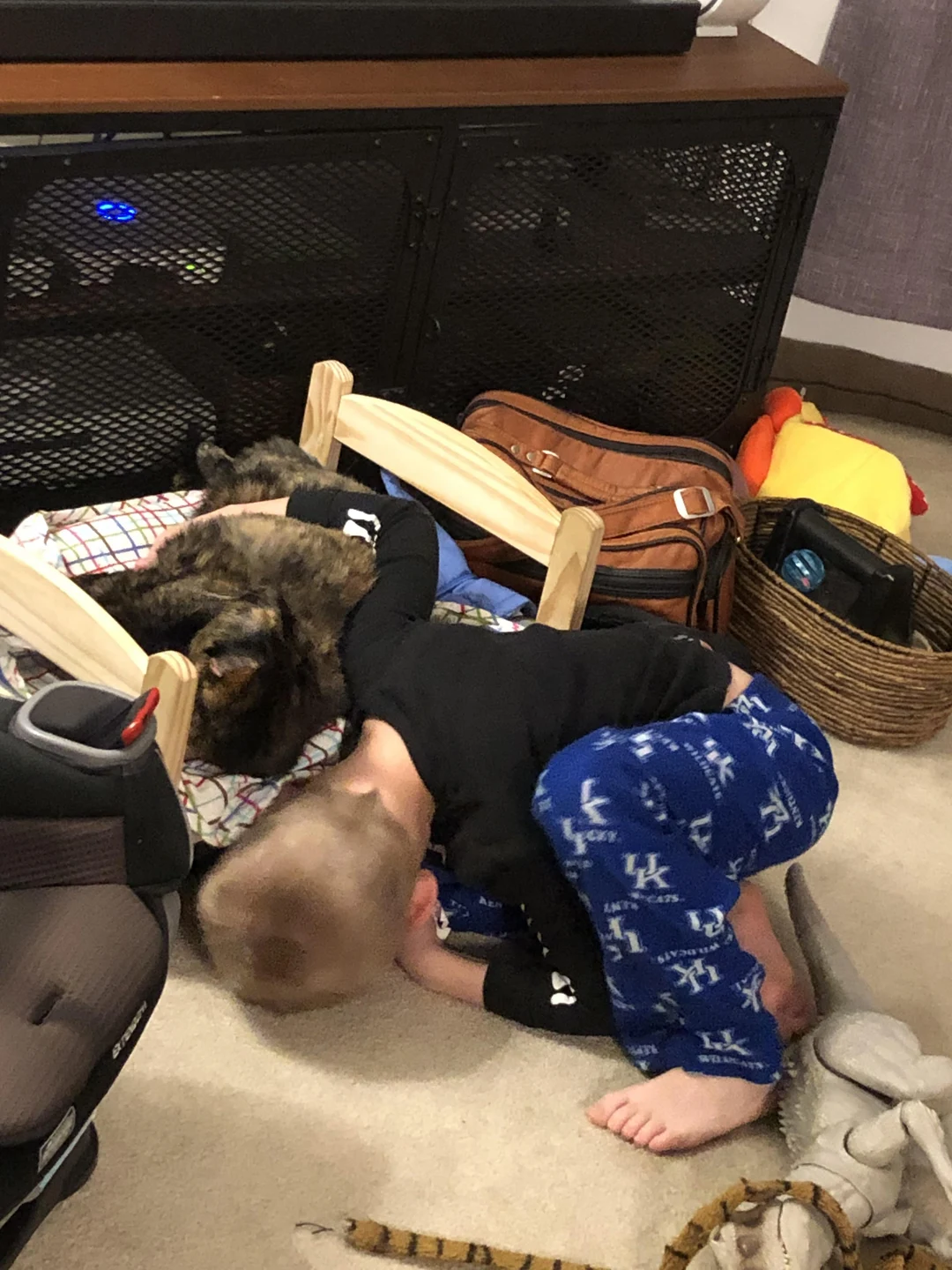The cat trap has also trapped a smol child. | Scrolller