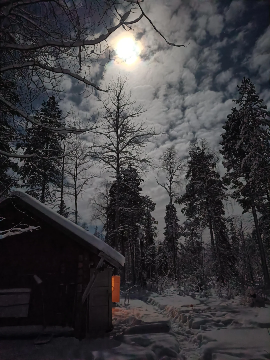 Lapland by moonlight | Scrolller