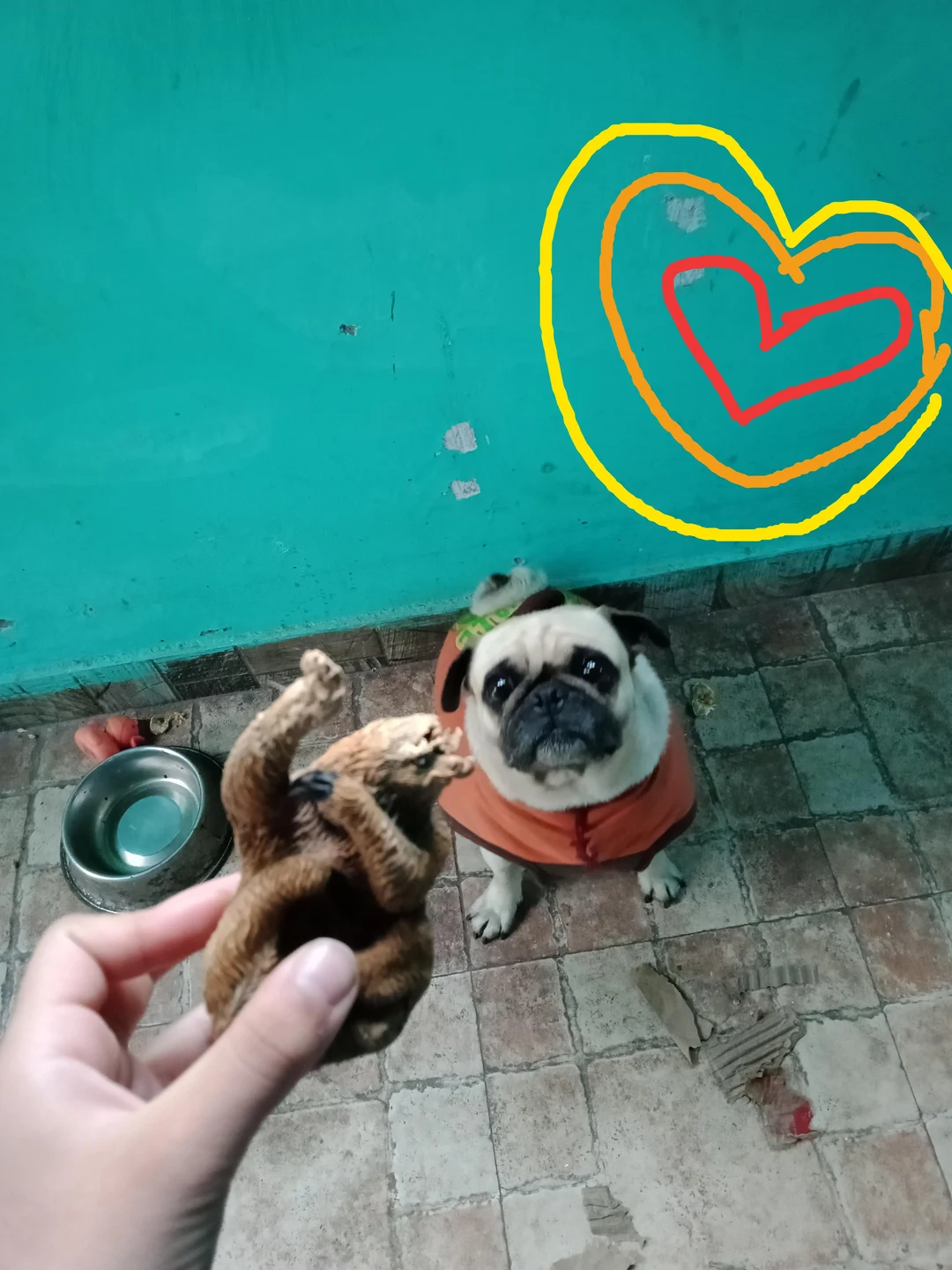 Jimmy wants sloth the sloth! | Scrolller