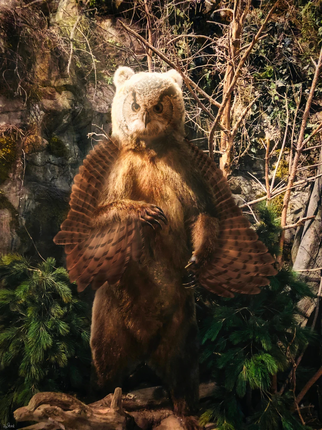 The Owlbear by me | Scrolller