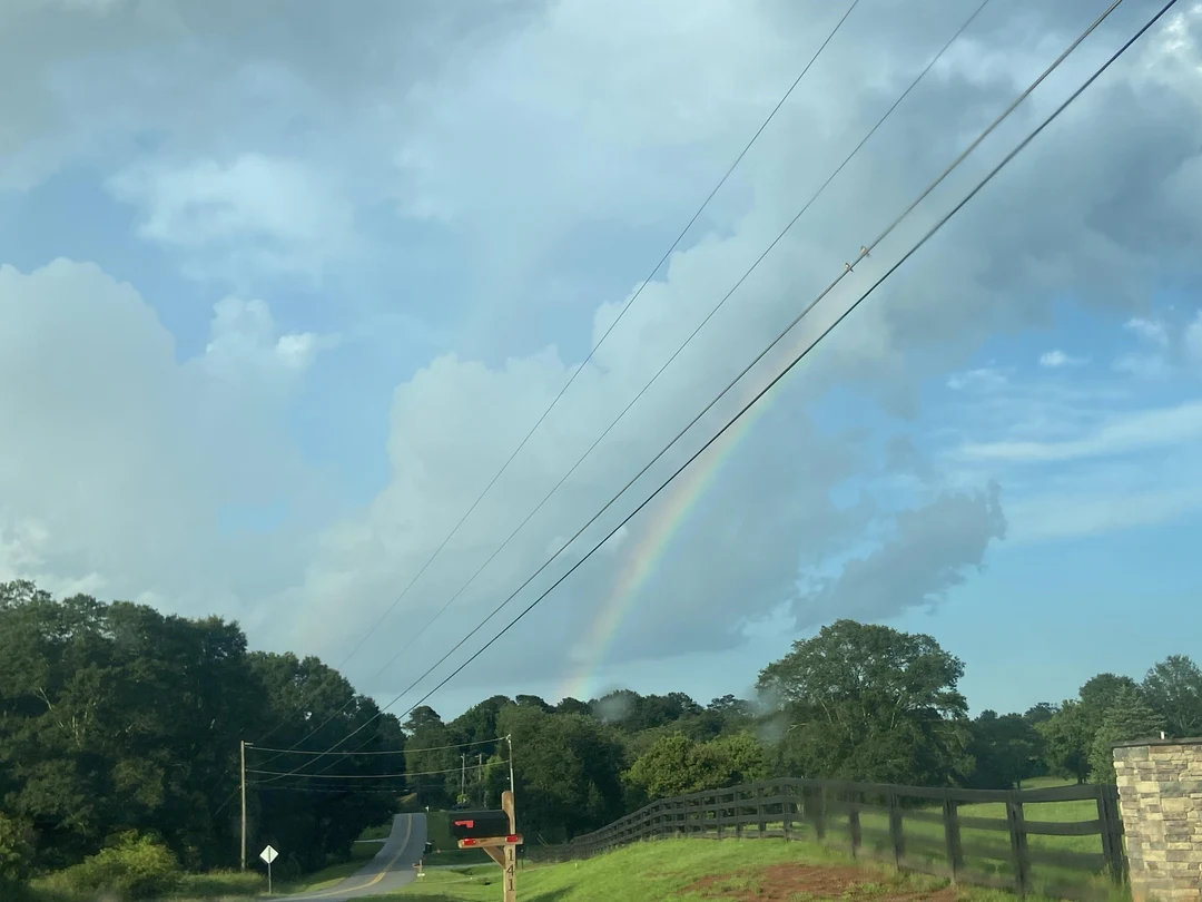 A beautiful surprise after some storms | Scrolller