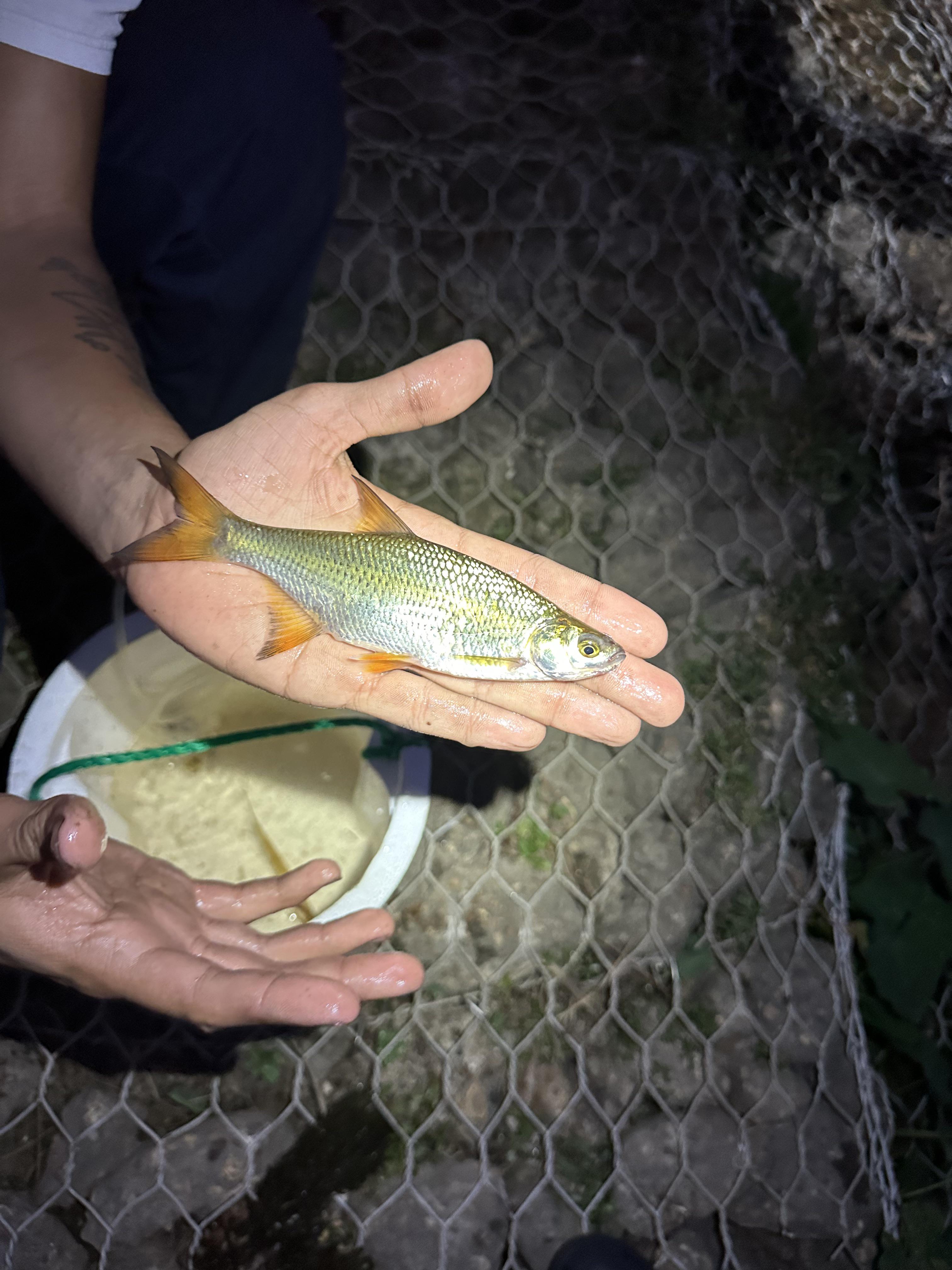 First catch | Scrolller