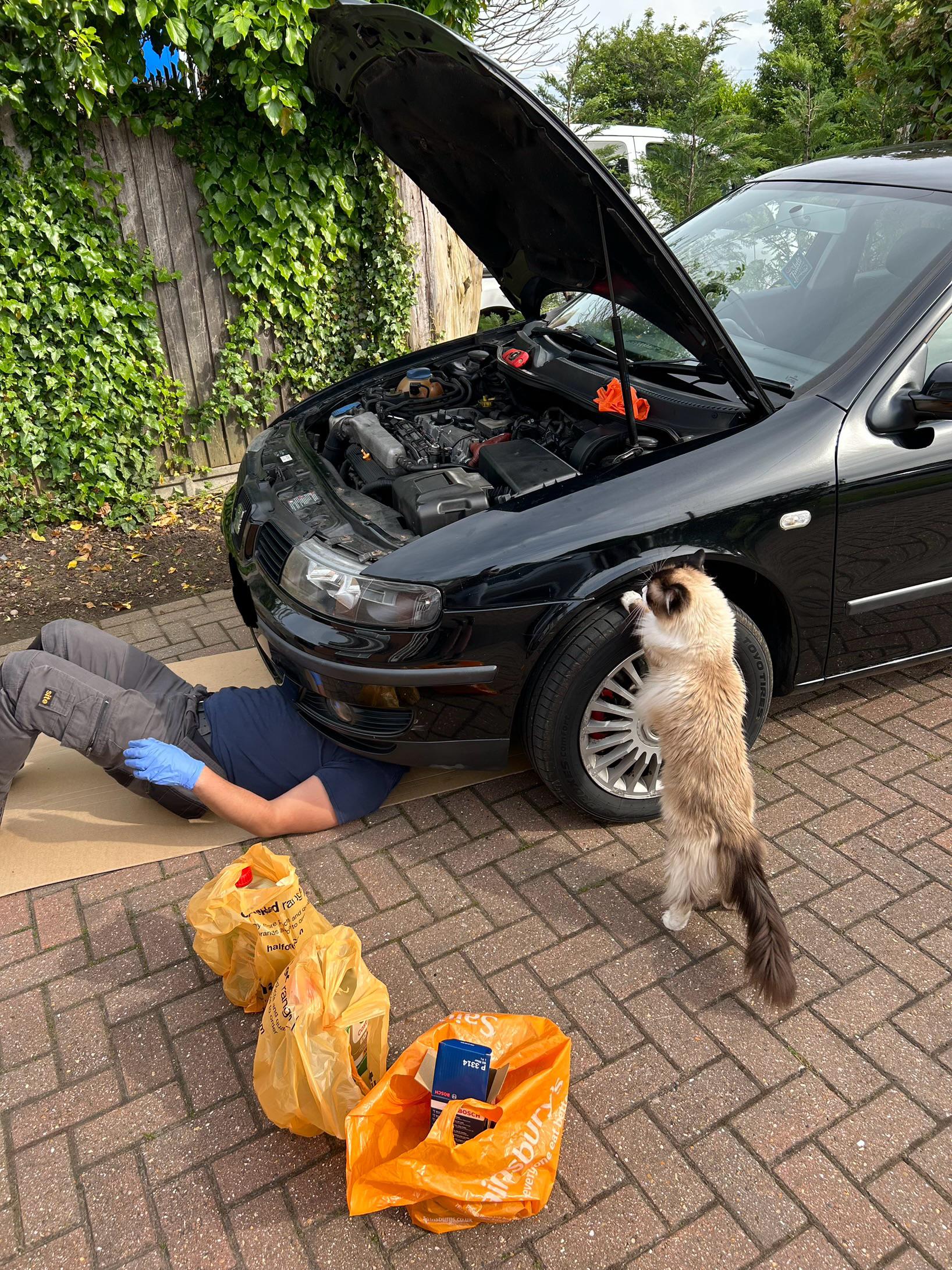 Caption this… | Scrolller