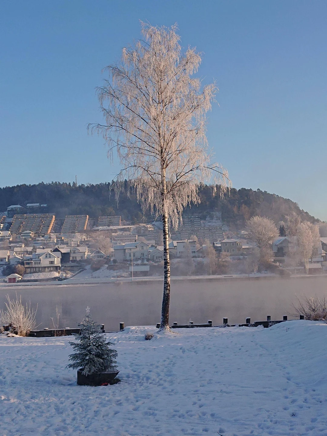 Frosty by the River | Scrolller