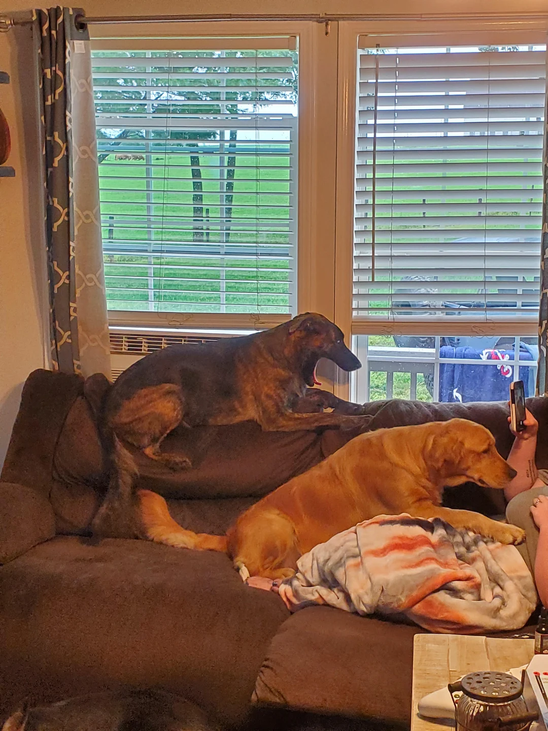 I'm starting to think the cat is a bad influence | Scrolller