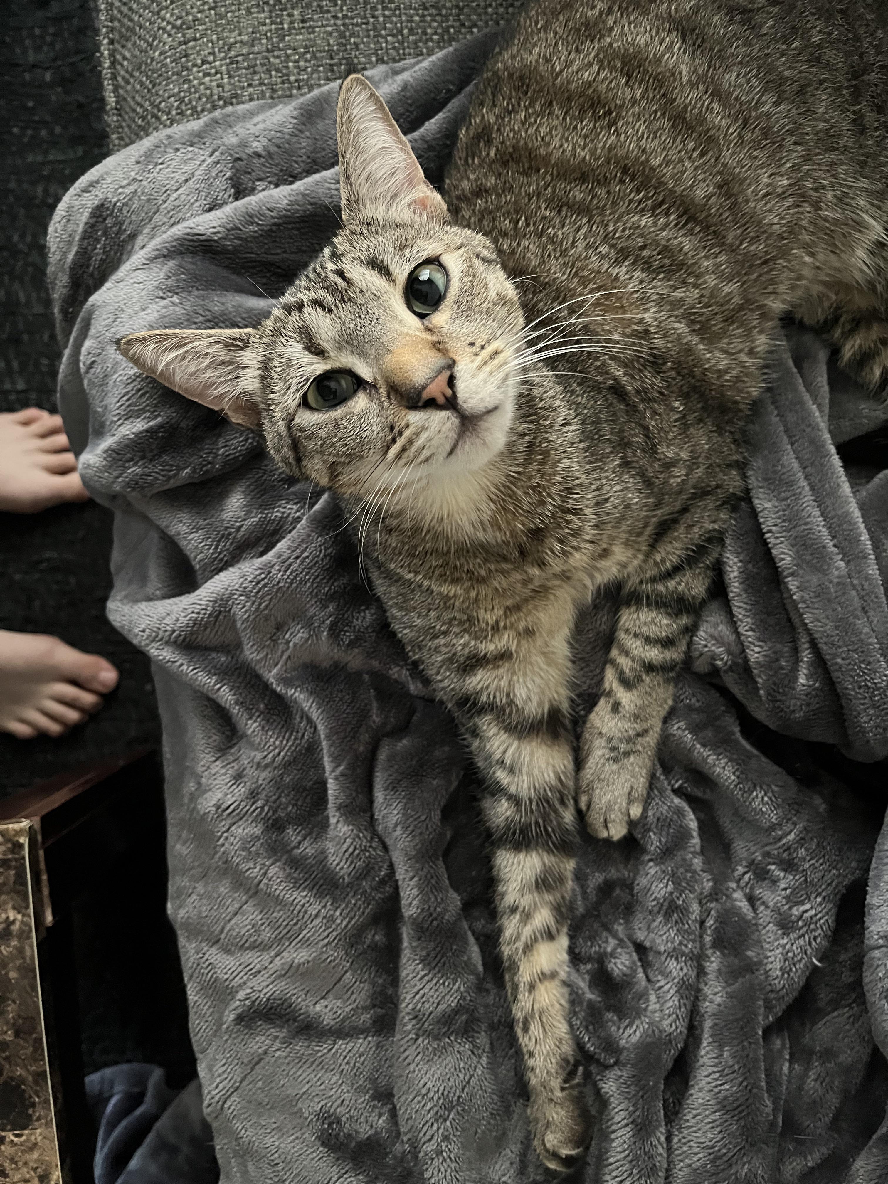 Arthur, our resident trash gremlin :) | Scrolller