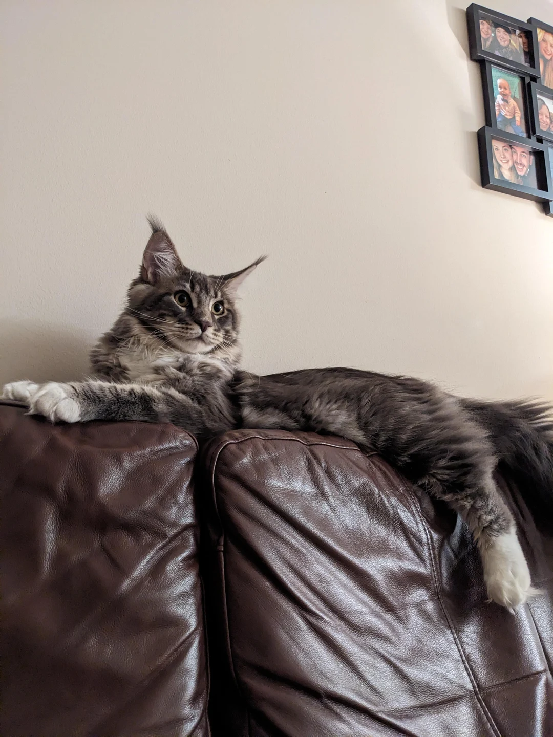 Strike a Pose | Scrolller