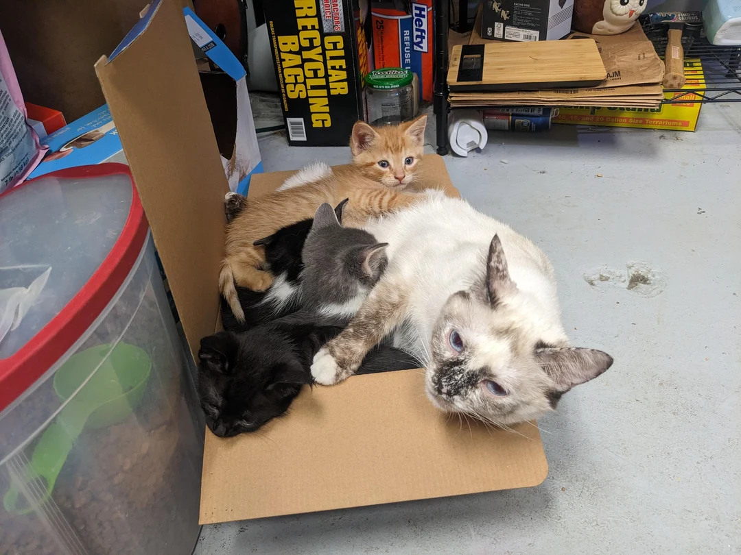 Discover more like TIGHTPUSSY: Overflowing! and Related Content | Scrolller