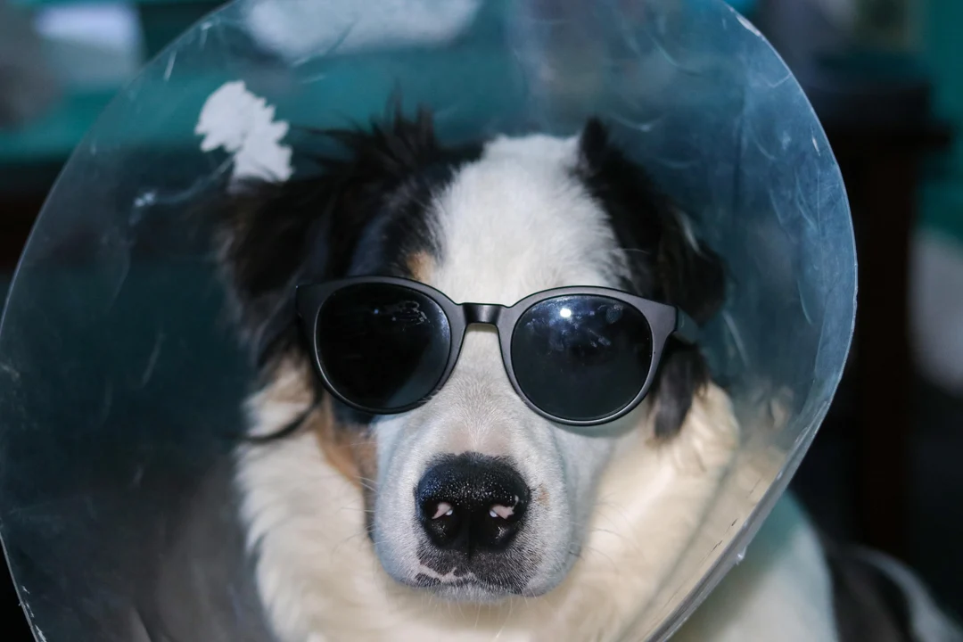 This picture always reminds me of The Hangover | Scrolller