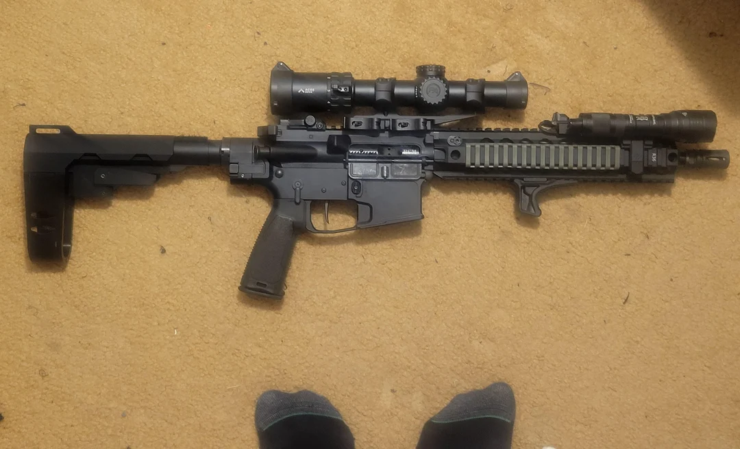 My Franken-AR | Scrolller