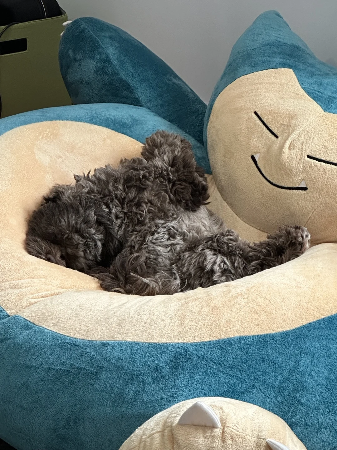 How is this comfortable? | Scrolller