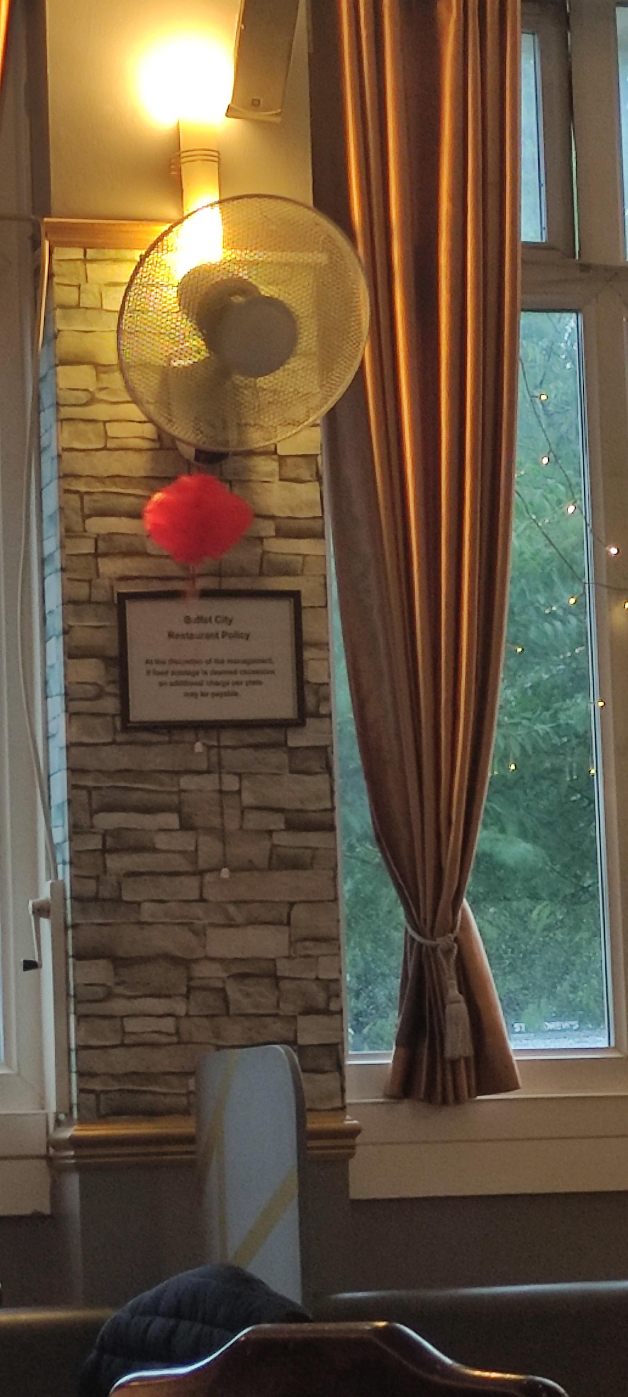 Chinky chonky | Scrolller