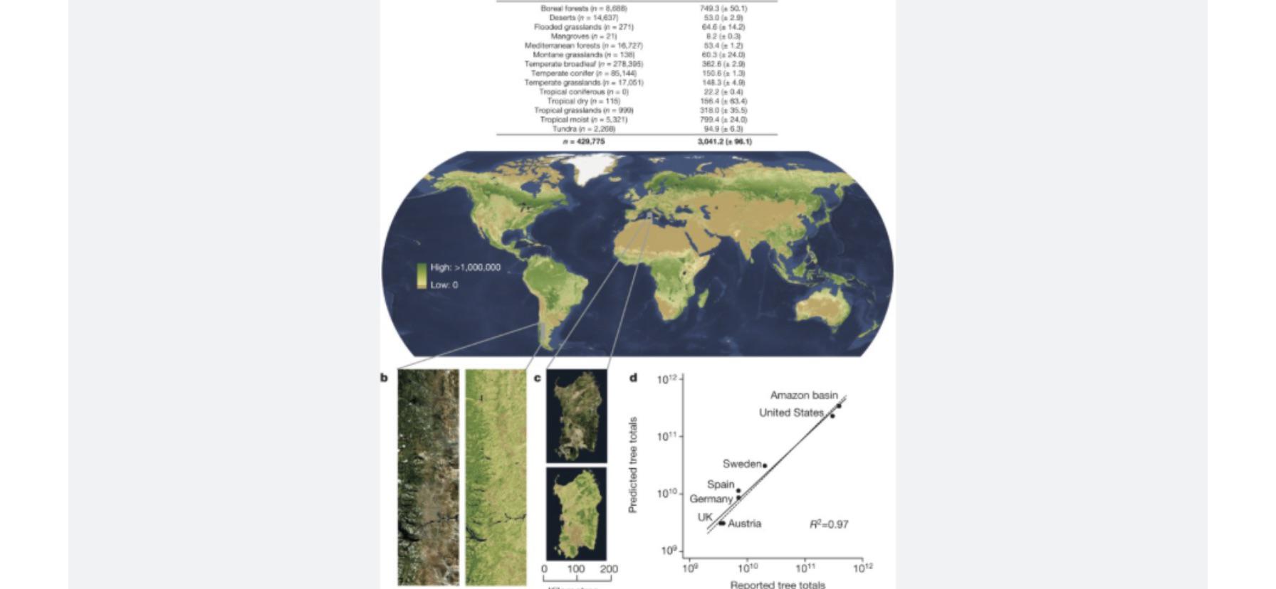 A 2023 Tree Density Map 🌲 Scrolller 8835