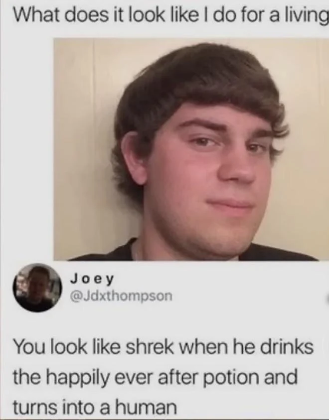 Human Shrek | Scrolller