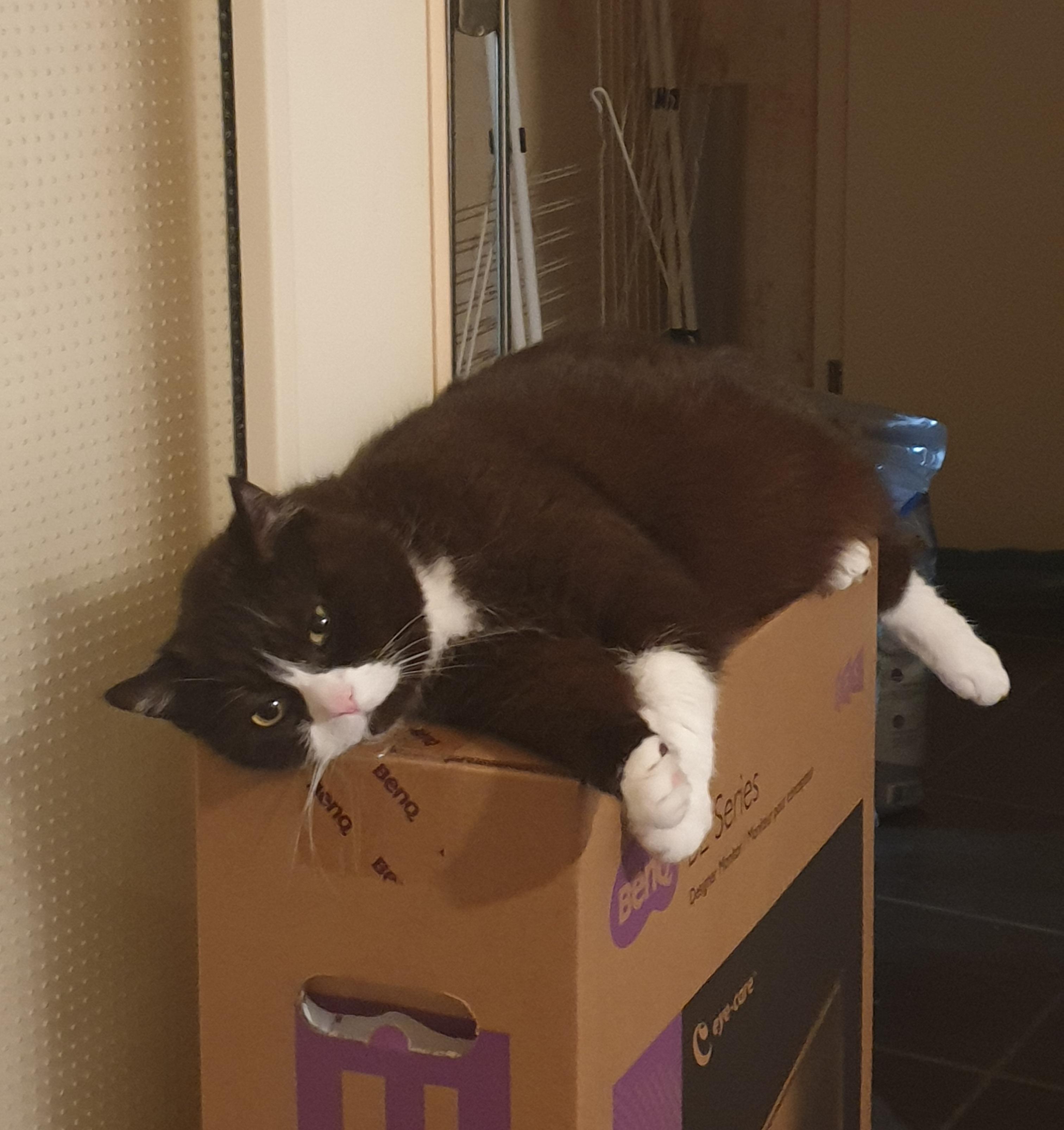 box is box | Scrolller