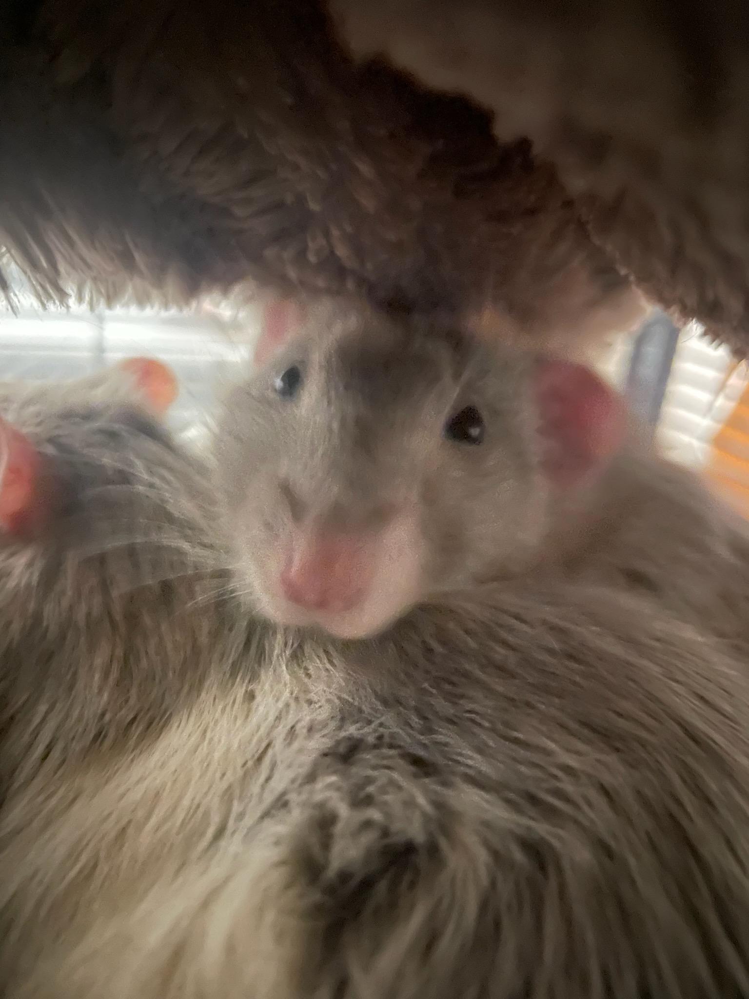 Love This Guy | Scrolller