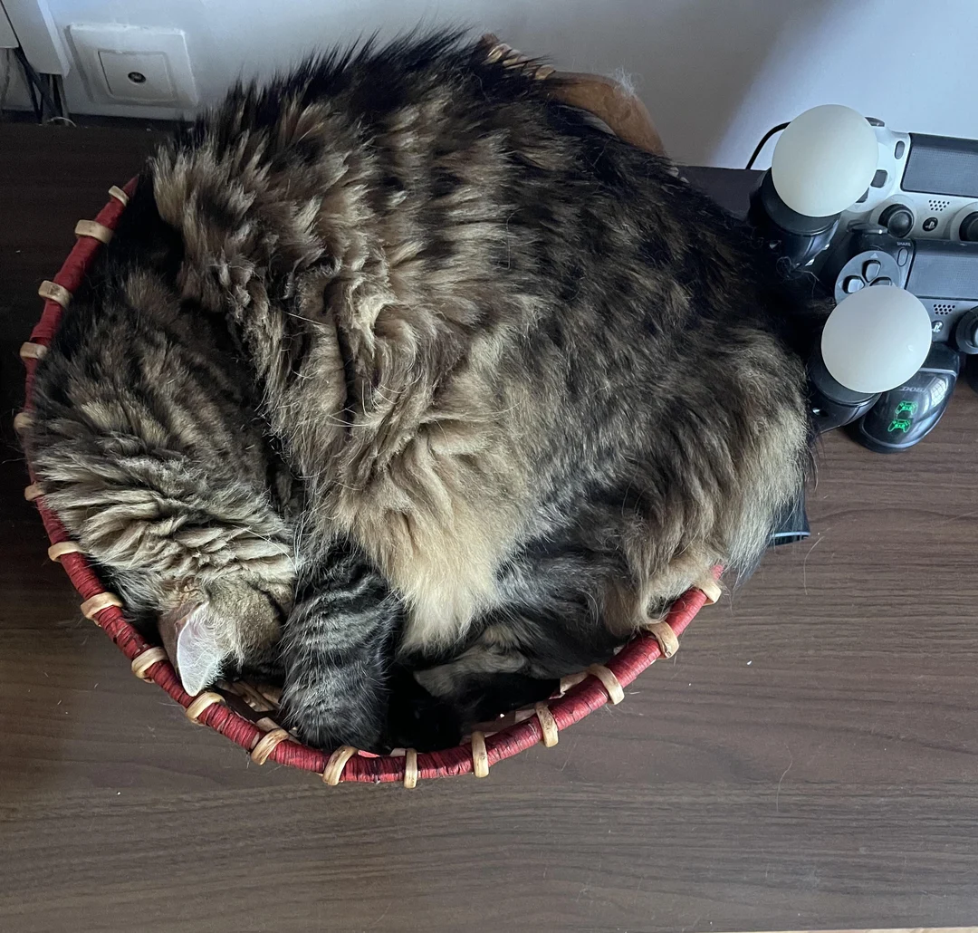 Handmade trap | Scrolller