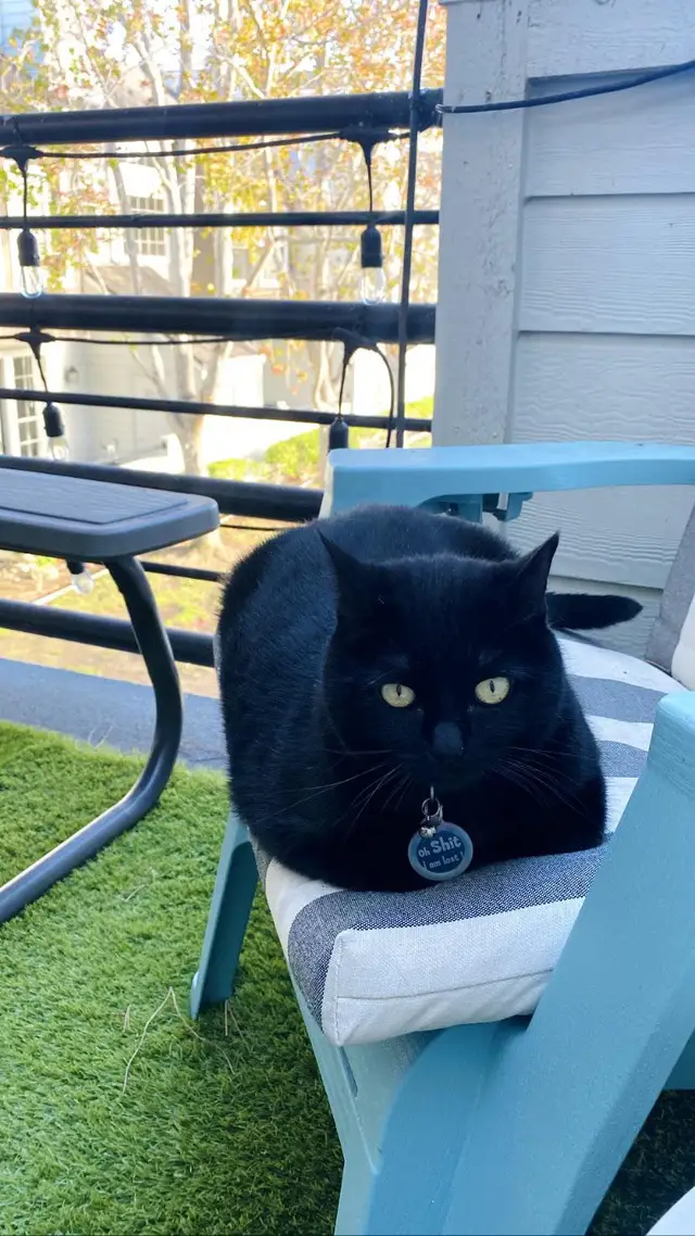 Sun baked loaf 🌞 | Scrolller