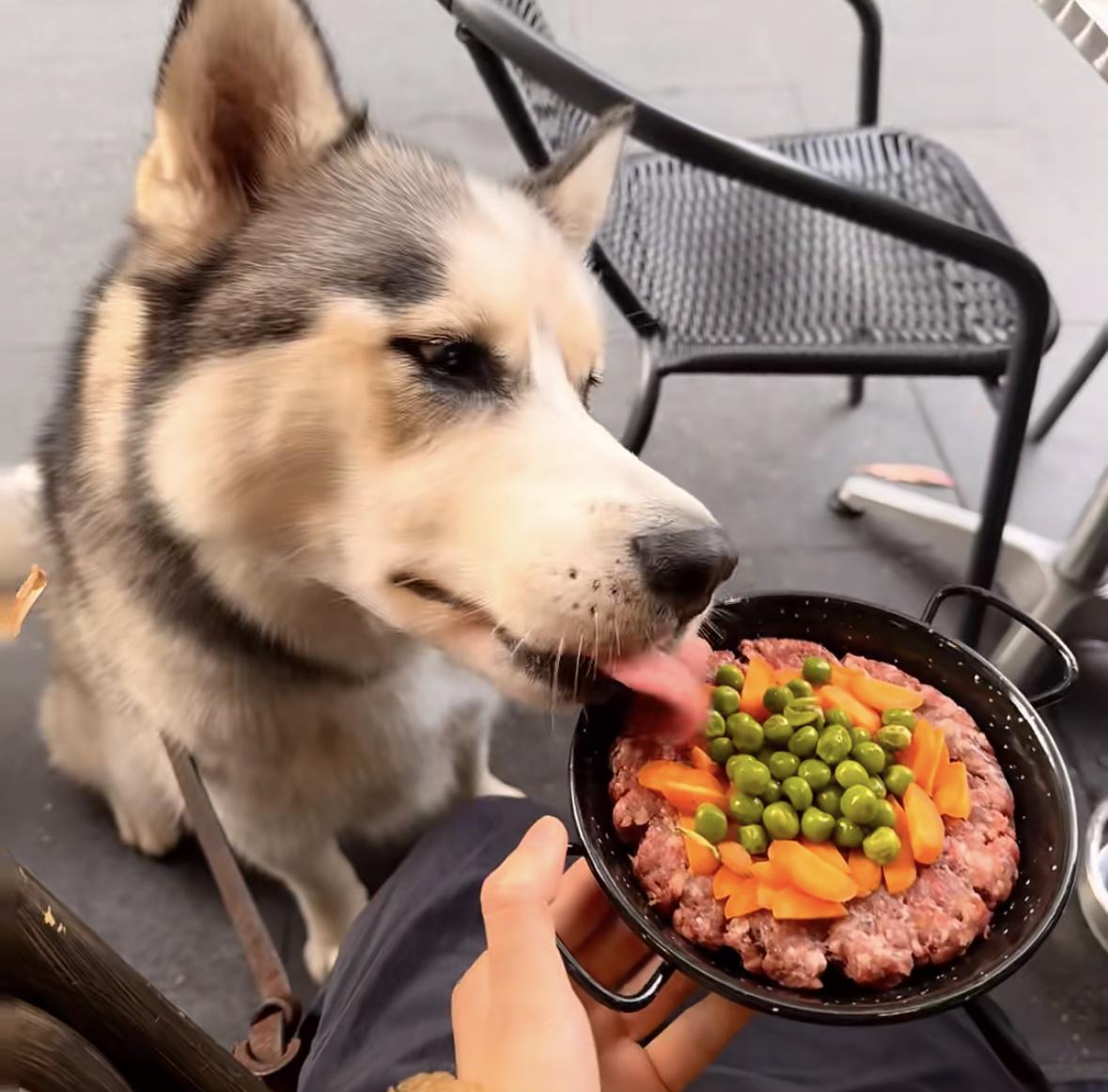 Homemade puppy food :) | Scrolller