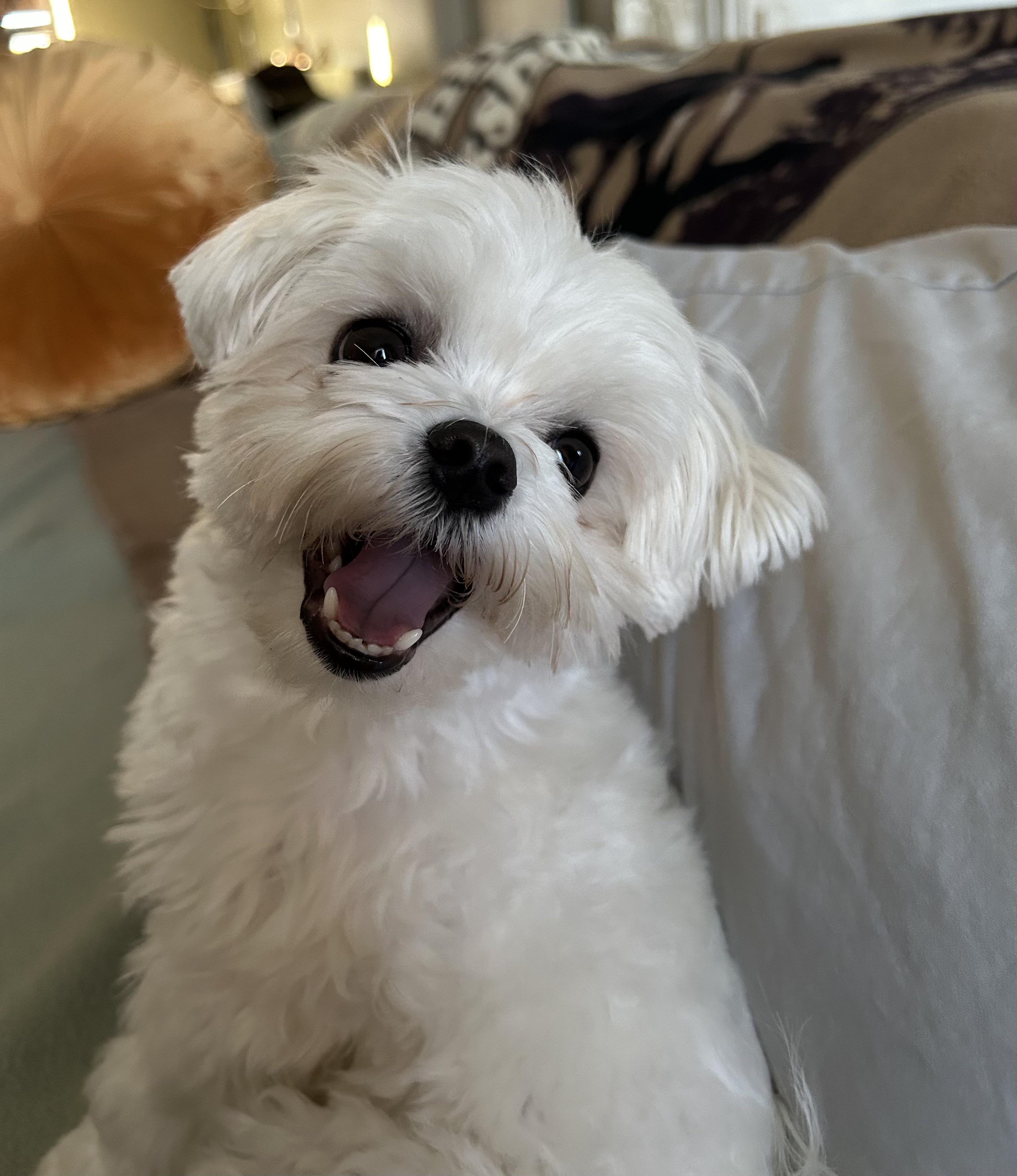 Somebody is feeling better today | Scrolller