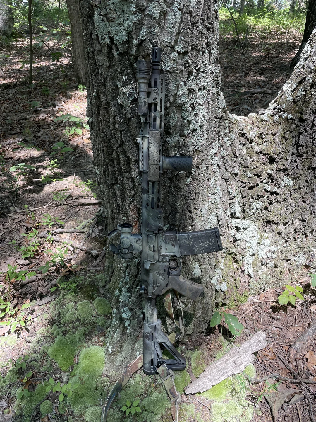 The Lorax Approved | Scrolller