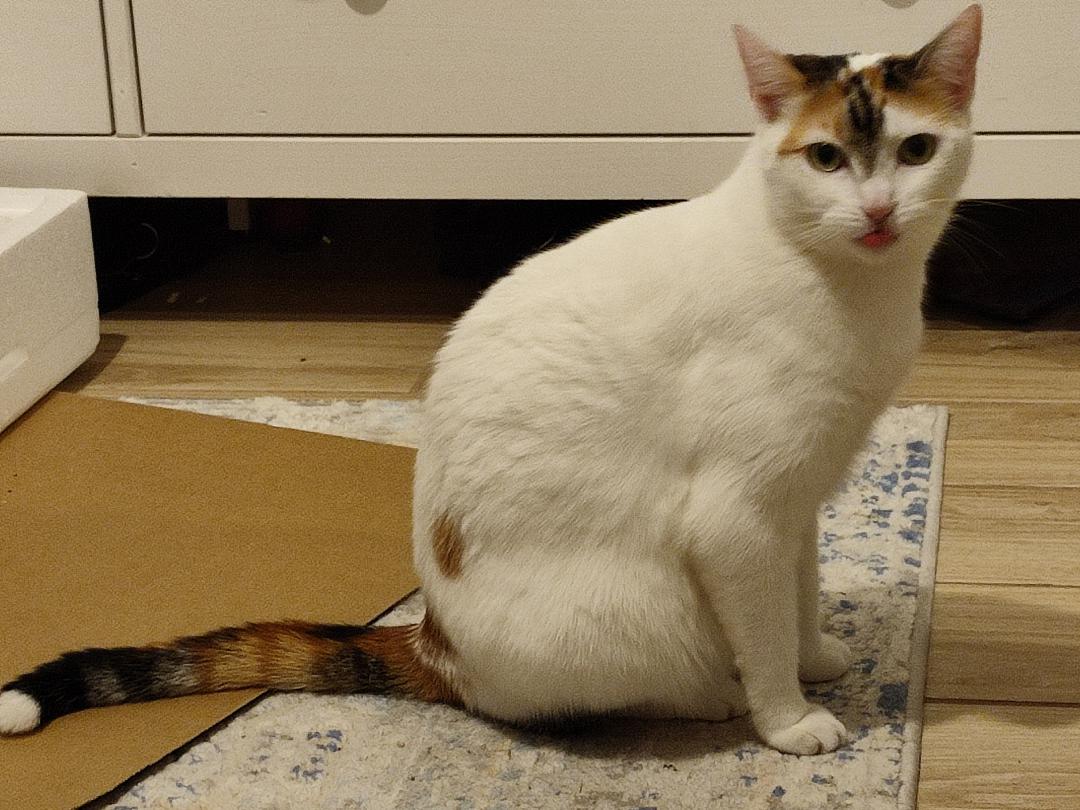 There's no thoughts in her head | Scrolller