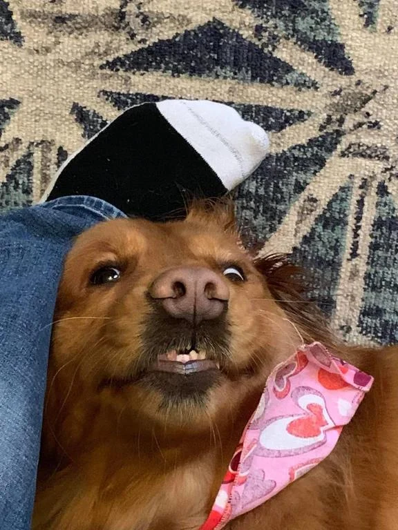 She’s beauty, she’s grace, she’s got a very derpy look all over her face. | Scrolller