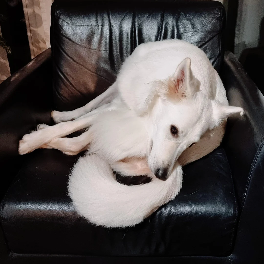 Hera investigating where that sound came from | Scrolller