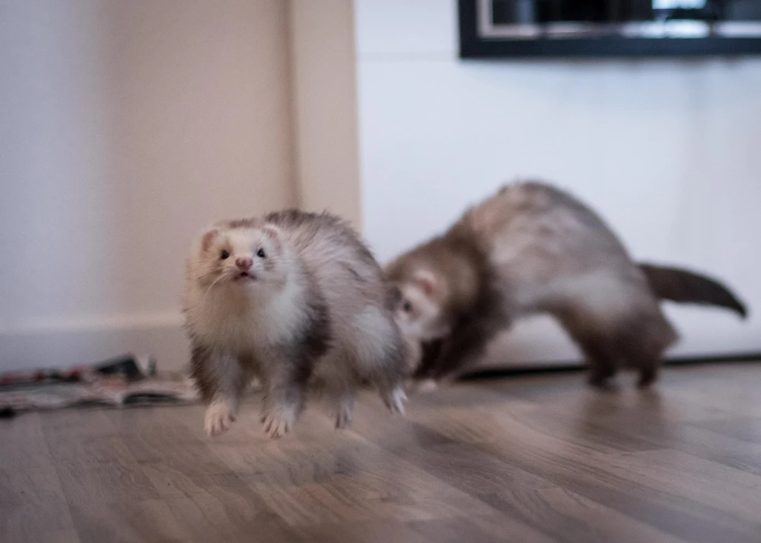 she float! | Scrolller