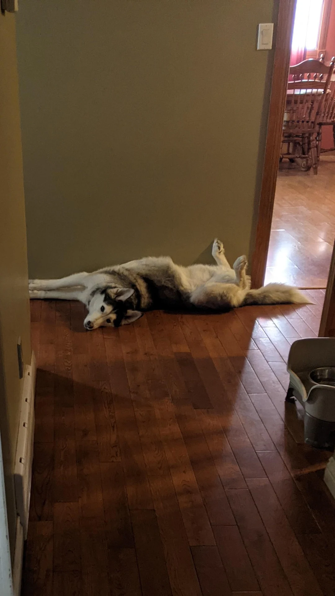 guys who has the english instructions for the Ikea Husky? i think i did mine wrong | Scrolller