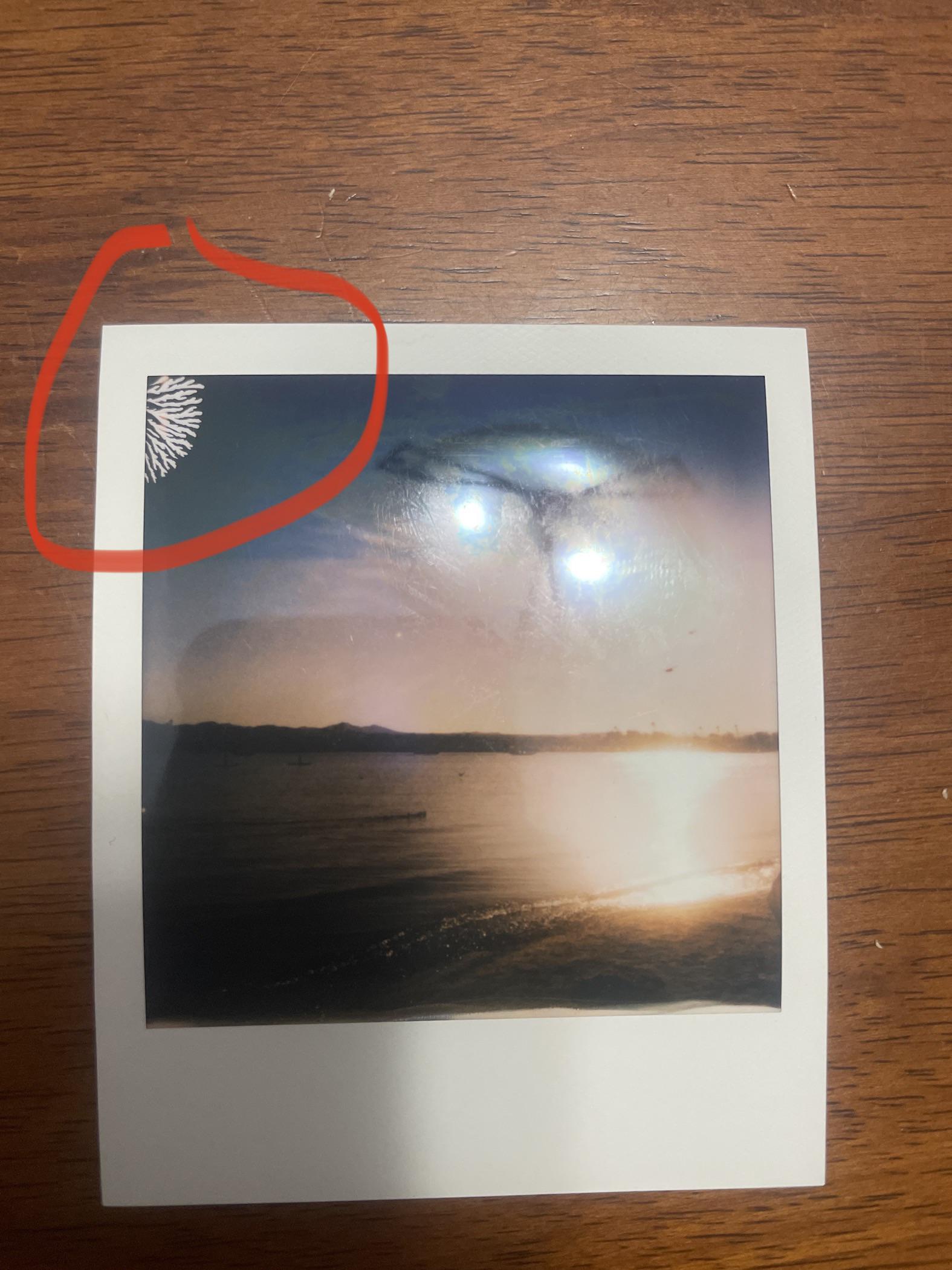 Discover more like Polaroid: Does anyone know why these keep popping up on my images (circled in ...