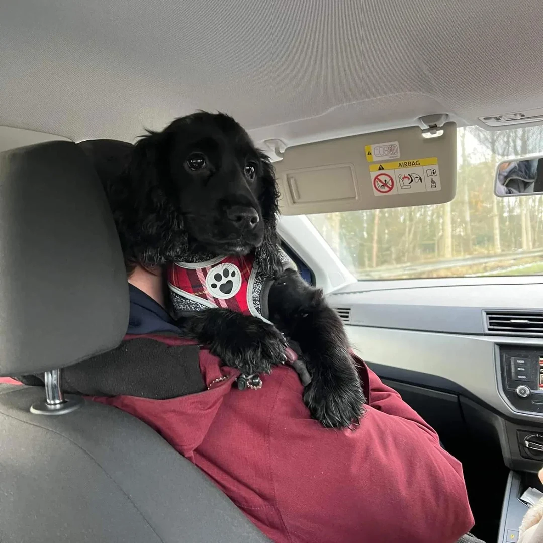 Cold snap in England! | Scrolller