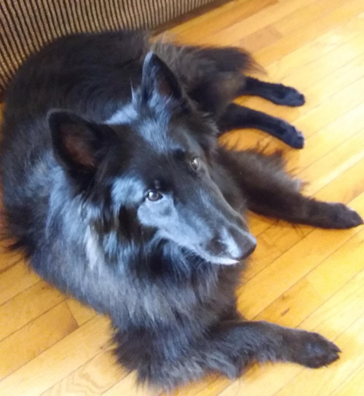 Valkyrie | Scrolller