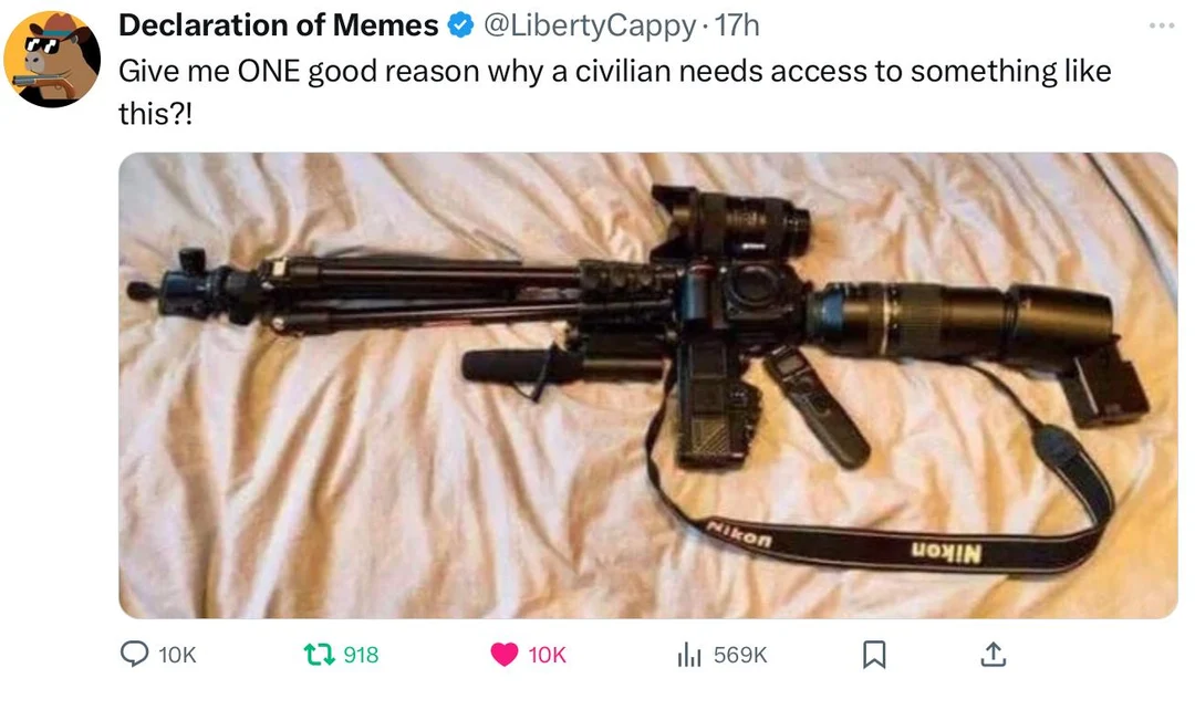 Firearm appearance laws | Scrolller