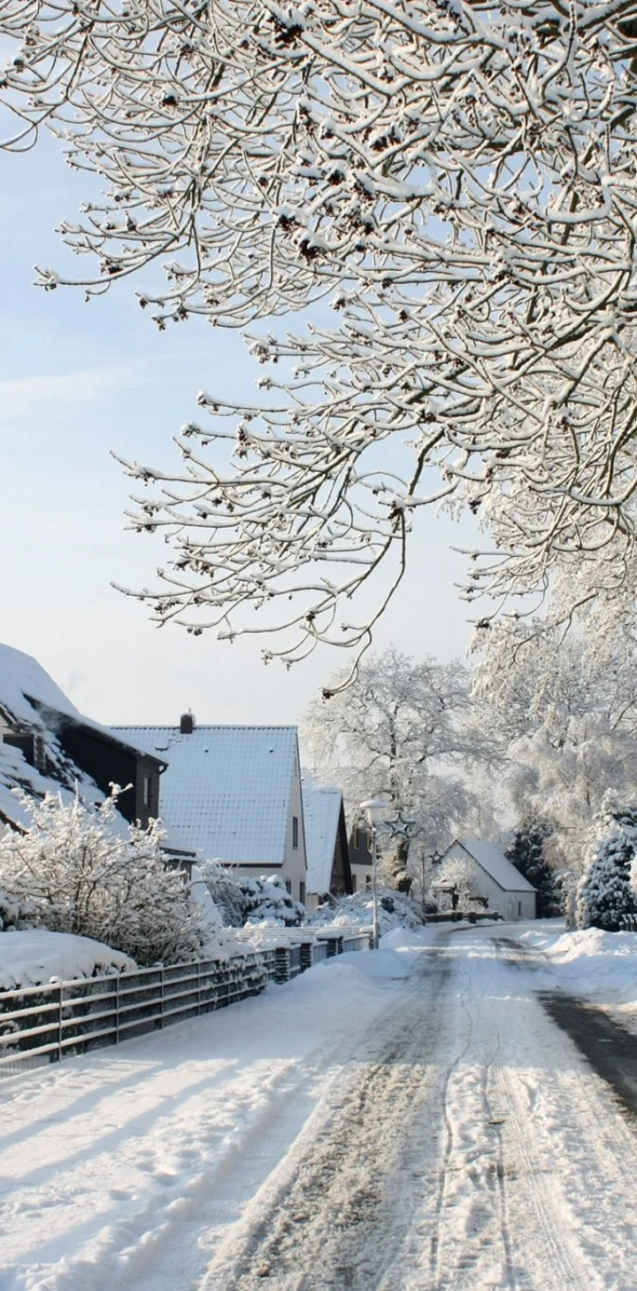 Winter by Ian Wayne | Scrolller