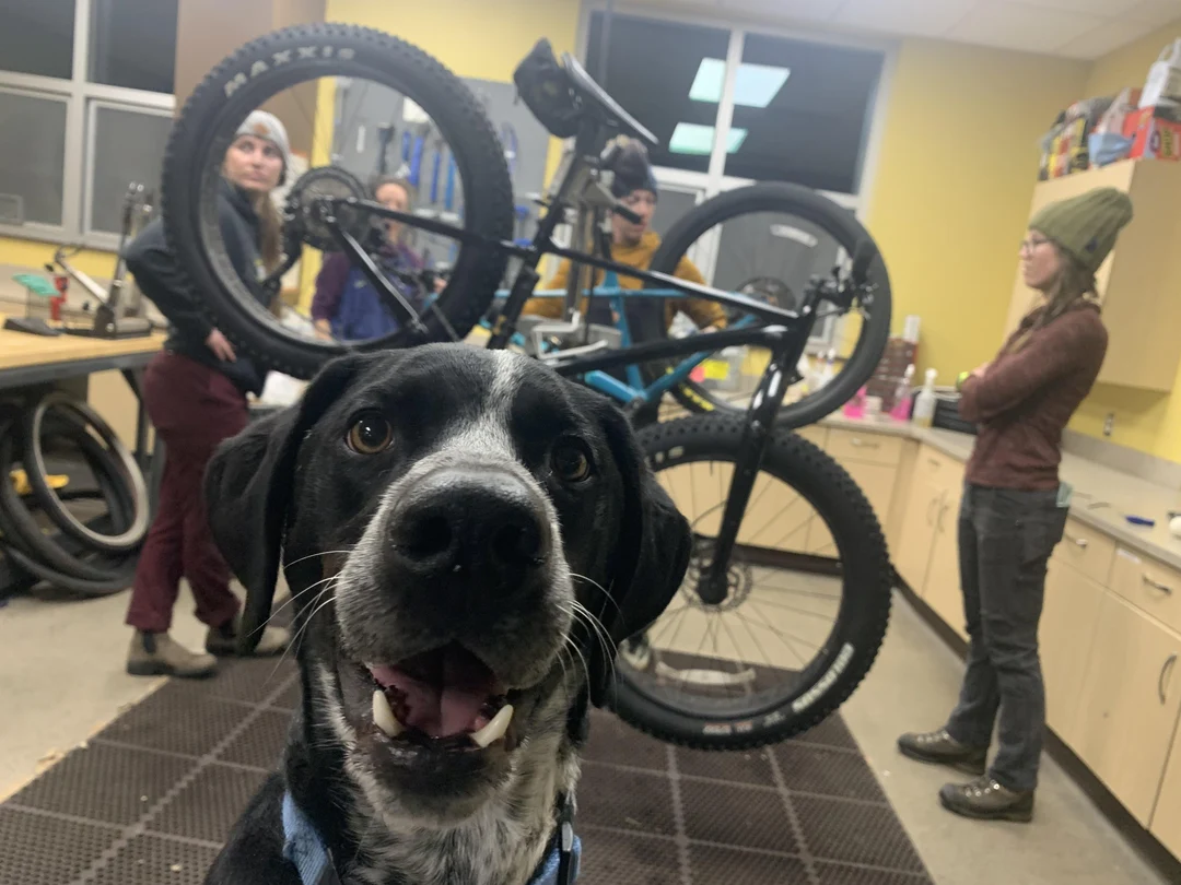 Setting up timed photos and Viktor’s timing was impeccable. | Scrolller