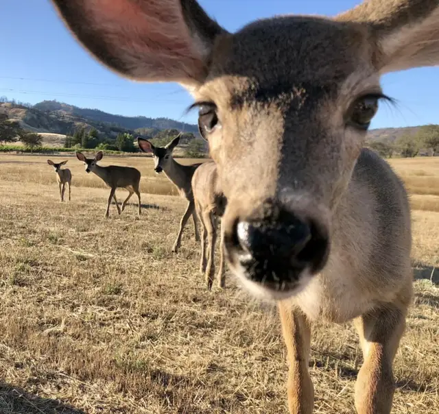 Curiosity | Scrolller